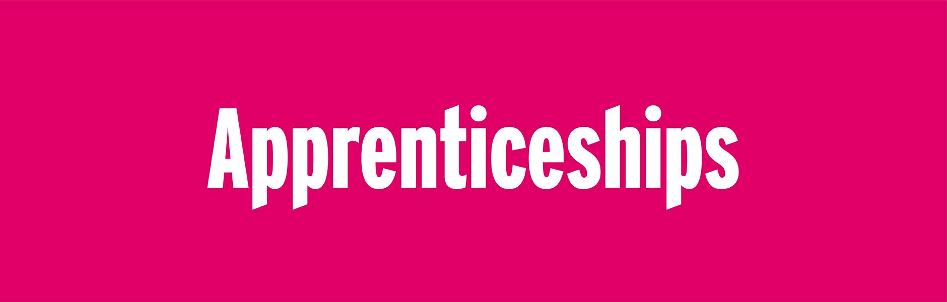 Apprenticeships | nidirect
